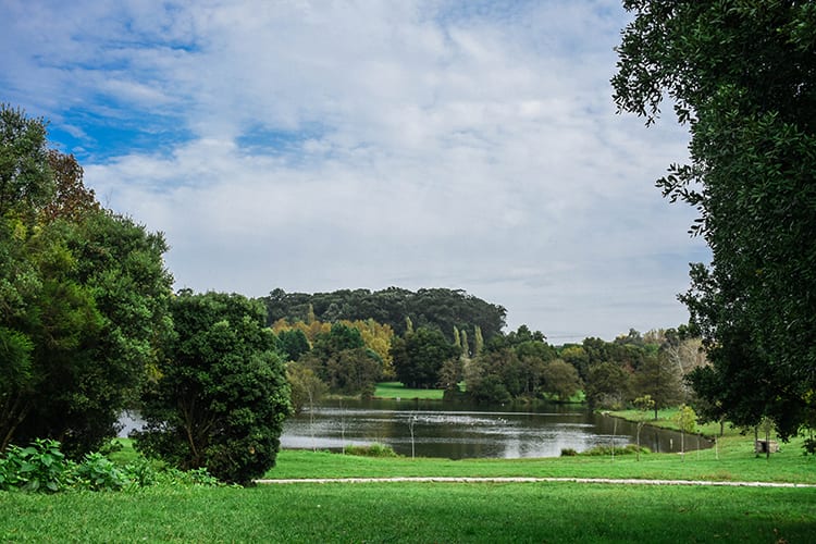Parques no Porto: conheçam os nossos favoritos! - Pumpkin.pt