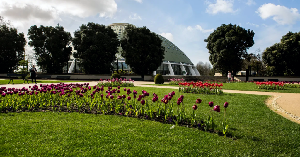 Parque de Merendas em Lisboa: os melhores sítios - Pumpkin.pt