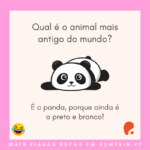 122 piadas secas para crianças que ninguém consegue resistir - Pumpkin.pt