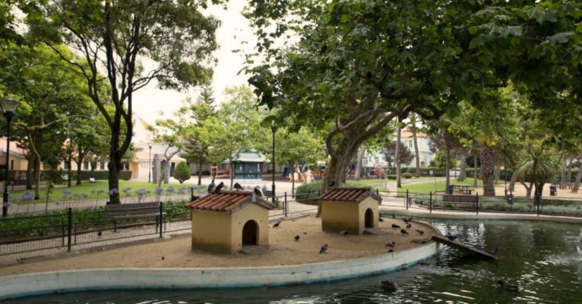 Adventure Park Jamor: a emoção está garantida! - Pumpkin.pt