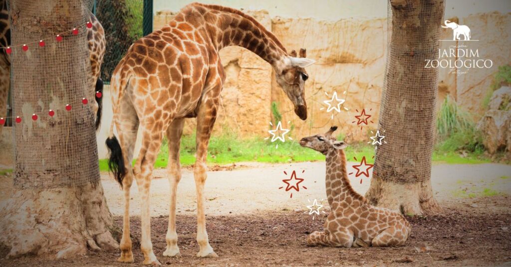 Atividades de Natal para crianças e famílias - Pumpkin.pt