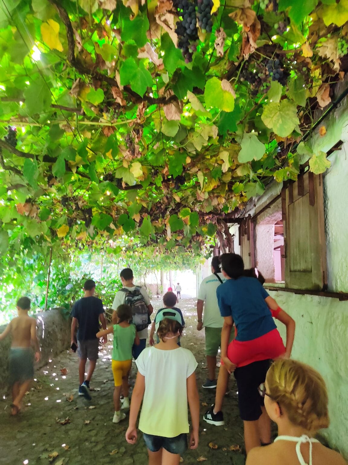 ATL Férias na Maia - Verão incrível com os melhores passeios - Pumpkin.pt